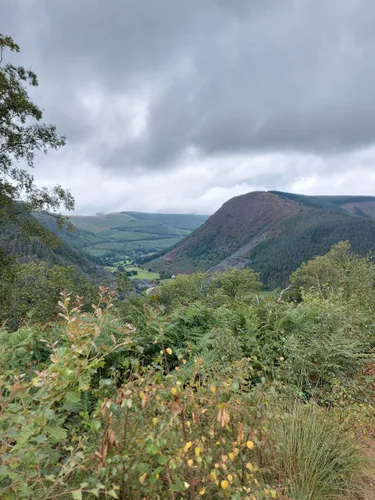 10 Best Walking Trails in Machynlleth | AllTrails