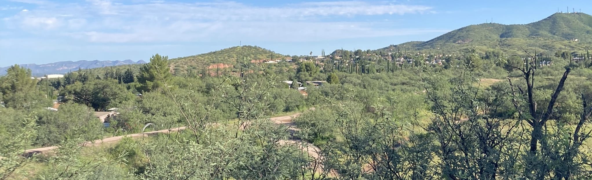 Monte Carlo Trails Blue Loop, Arizona - 64 Reviews, Map | AllTrails