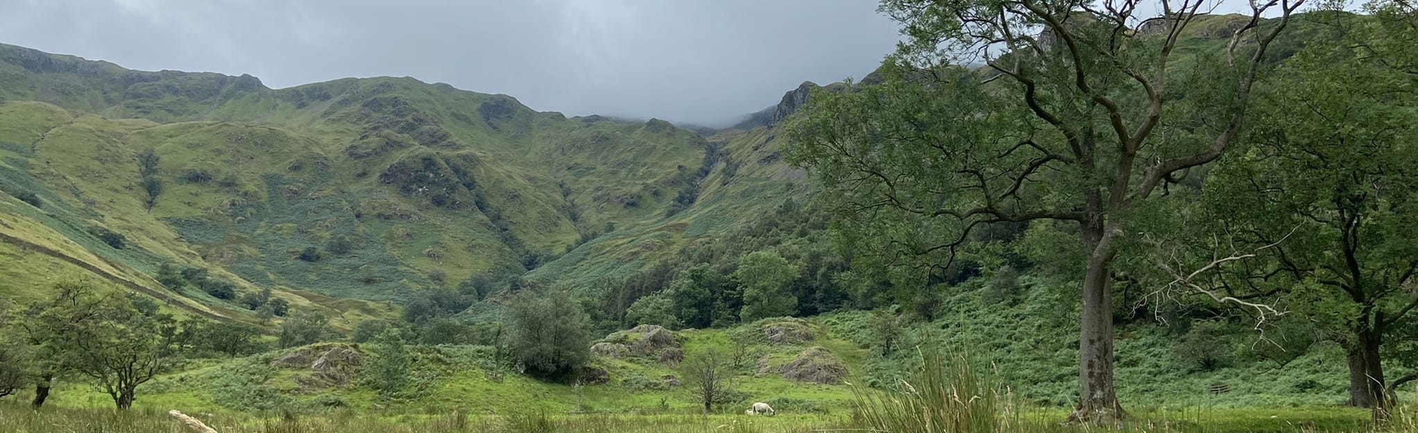 Dove Crag and the Priests Cave: 112 Reviews, Map - Cumbria, England ...