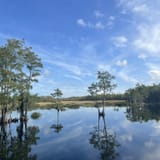 Grassy Waters Preserve: Owahee Trail, Florida - 146 Reviews, Map ...