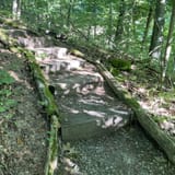 Saunders Springs Reservoir Loop, Kentucky - 115 Reviews, Map | AllTrails
