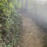 Saunders Springs Reservoir Loop, Kentucky - 115 Reviews, Map | AllTrails