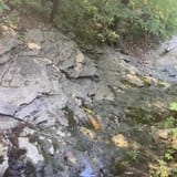 Saunders Springs Reservoir Loop, Kentucky - 115 Reviews, Map | AllTrails