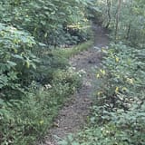 Saunders Springs Reservoir Loop, Kentucky - 132 Reviews, Map | AllTrails