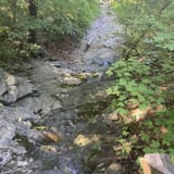 Saunders Springs Reservoir Loop, Kentucky - 132 Reviews, Map | AllTrails