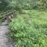 Saunders Springs Reservoir Loop, Kentucky - 118 Reviews, Map | AllTrails
