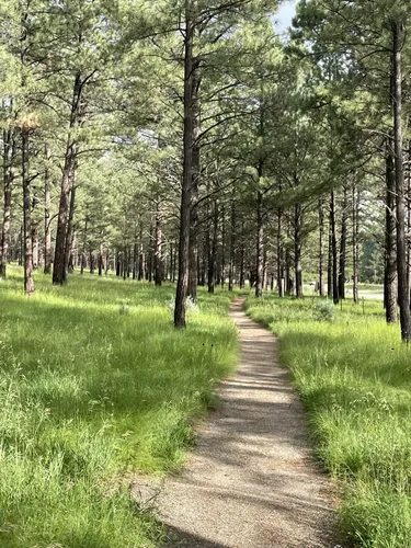 10 Best Trails and Hikes in Ruidoso | AllTrails