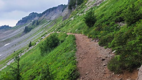 2023 Best 10 Trails and Hikes in Maple Falls | AllTrails