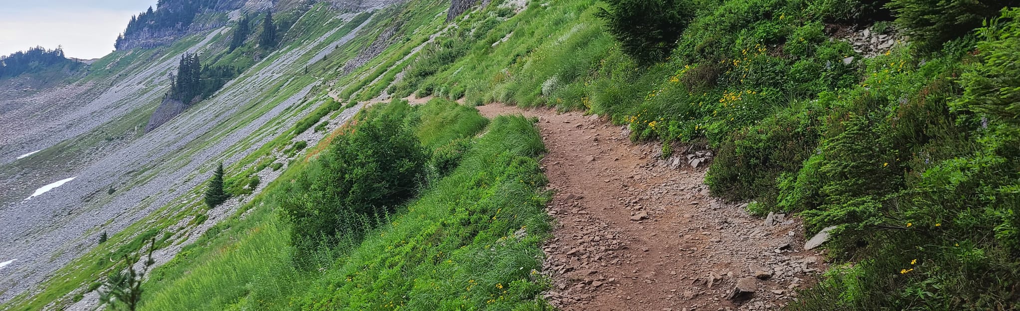 Ptarmigan Ridge Trail: 957 Reviews, Map - Washington | AllTrails