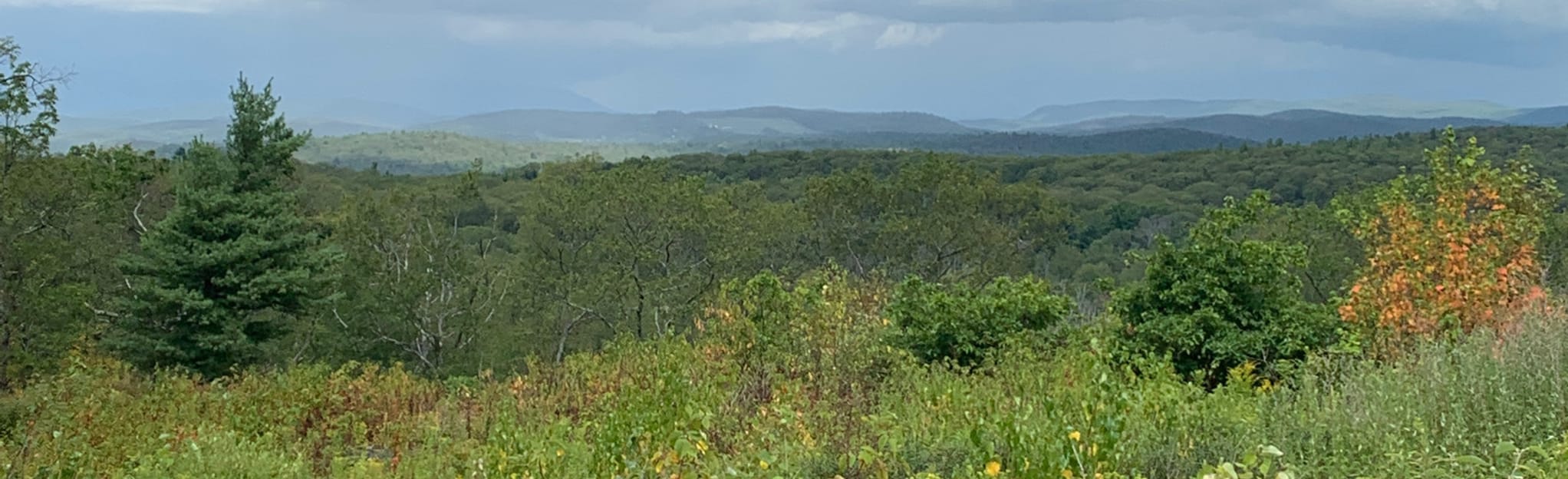 Mohawk Mountain via Mohawk Trail, Connecticut - 272 Reviews, Map ...