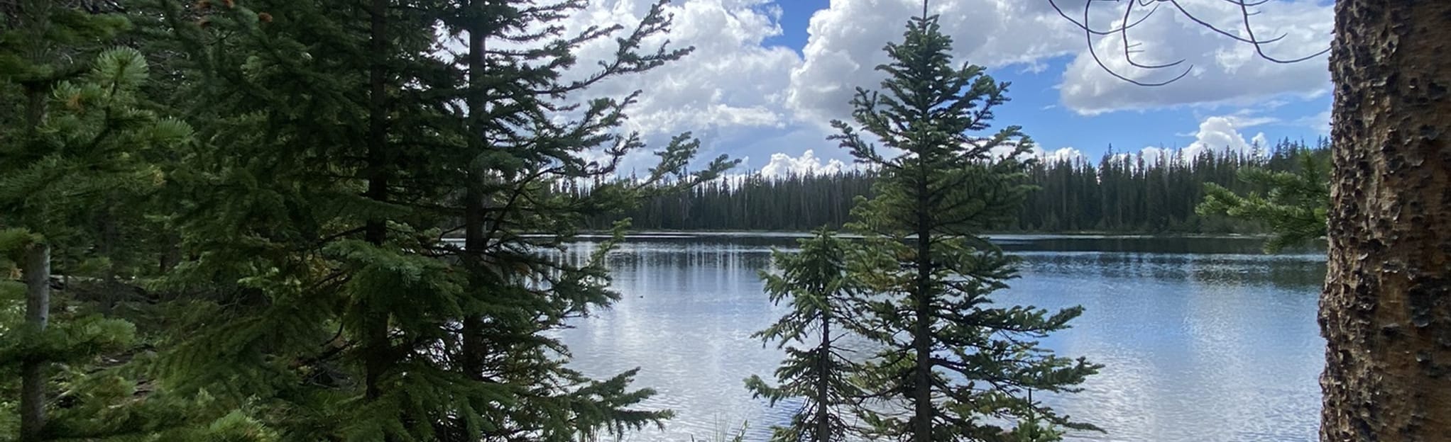 Lost Lake Trail, Colorado - 714 Reviews, Map | AllTrails