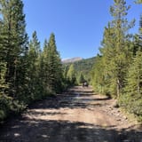 Kakwa Falls Trail, Alberta, Canada - 20 Reviews, Map | AllTrails