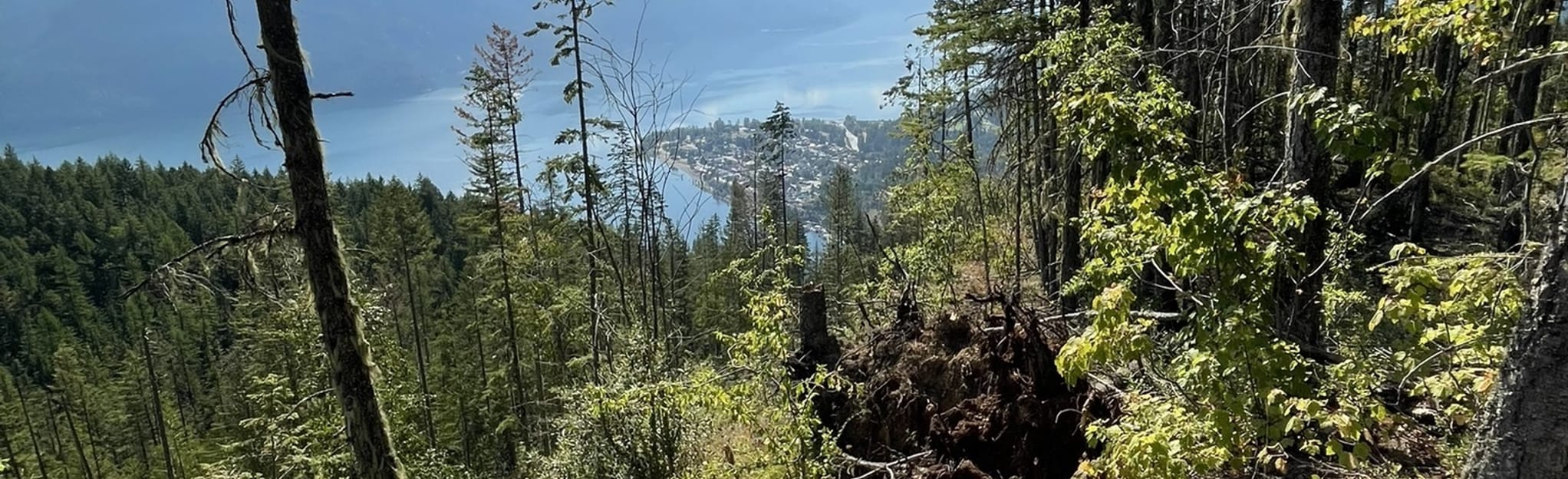 Buchanan Fire Trail (Long Route), British Columbia, Canada - 3 Reviews ...