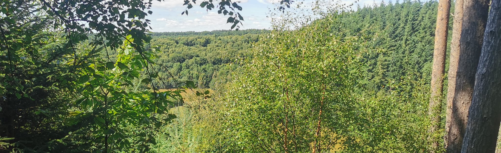 Foraging Circular, North Yorkshire, England - 18 Reviews, Map | AllTrails