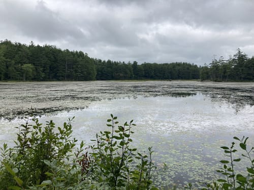Best Hikes and Trails in Deering Wildlife Sanctuary | AllTrails