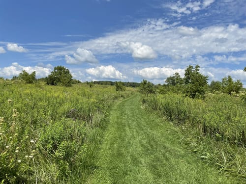 Best Hikes and Trails in Marengo Ridge Conservation Area | AllTrails