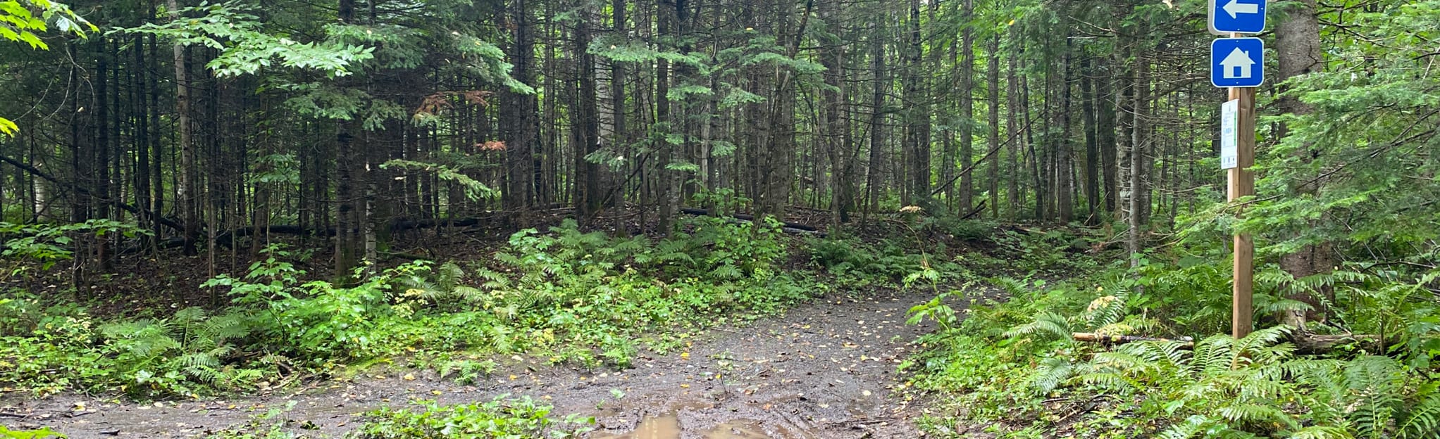 Maria's Viewpoint Trail: 13 foto's - Quebec, Canada | Wandelen - AllTrails