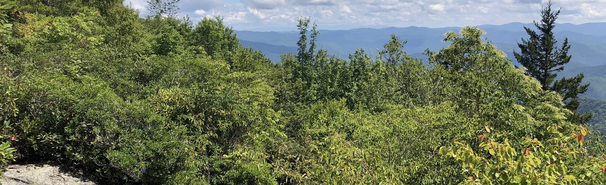Mount Cammerer and Mount Sterling Loop, North Carolina - 31 Reviews ...