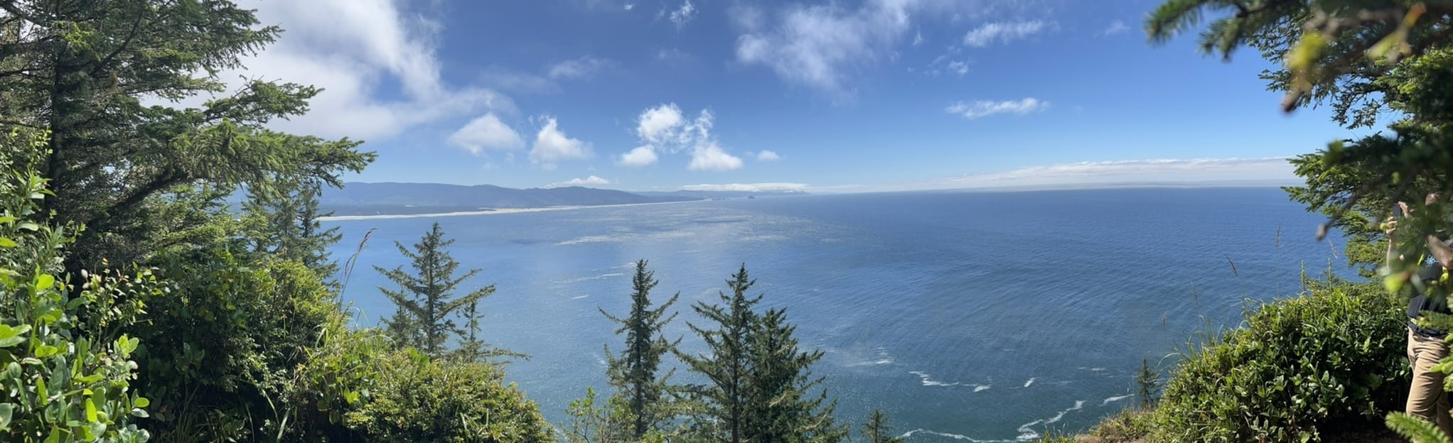 Cape Lookout Trail: 2931 Reviews, Map - Oregon | AllTrails