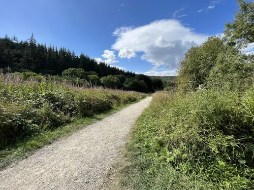 10 Best Walking Trails in Goathland | AllTrails