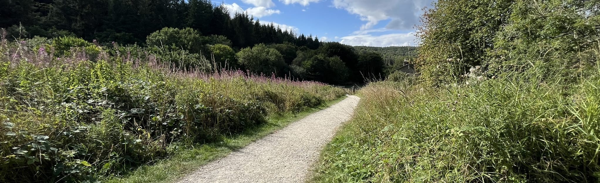 Goathland to Grosmont Rail Trail, North Yorkshire, England - 123 ...