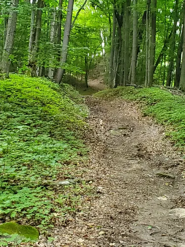 Best Hikes and Trails in Whiting Park | AllTrails