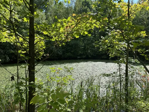 Best Hikes and Trails in German Ridge Recreation Area | AllTrails