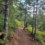 Red Grade Trails System, Wyoming - 110 Reviews, Map | AllTrails