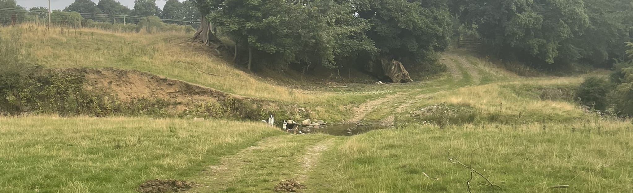 Colburn Hall and Hipswell Circular, North Yorkshire, England - 12 ...