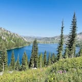 Box Lake Trail, Idaho - 244 Reviews, Map | AllTrails