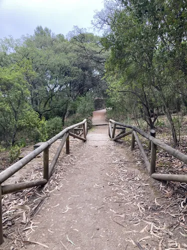 10 Best Walking Trails in Monsanto Forest Park | AllTrails