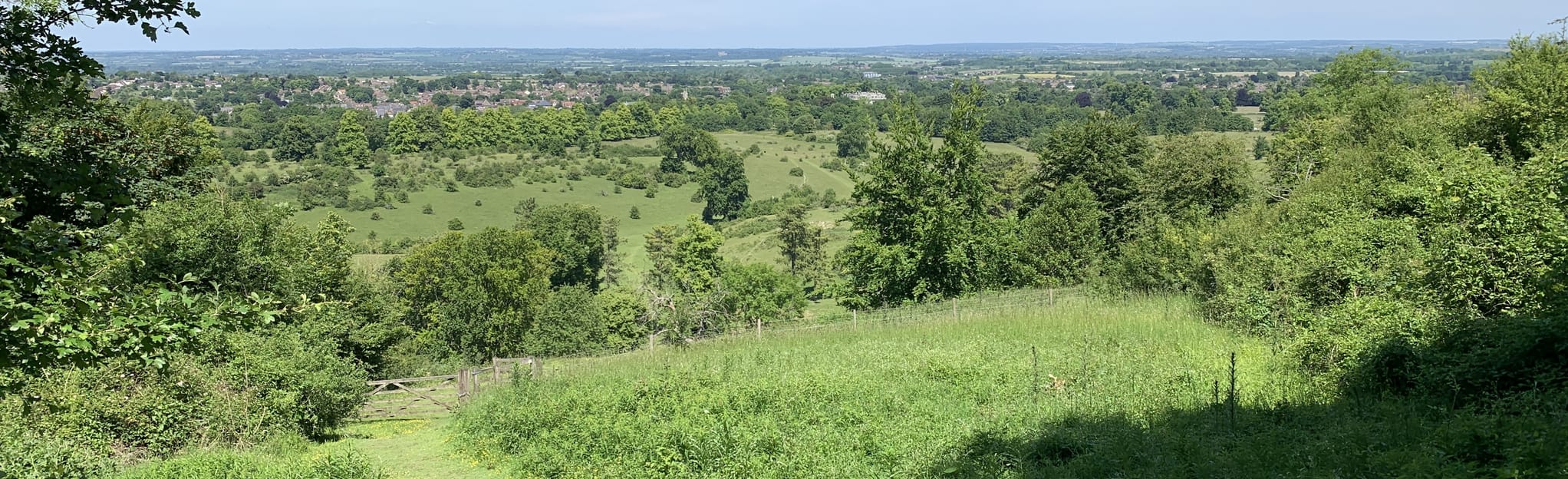 Tring Park Circular, Hertfordshire, England - 170 Reviews, Map | AllTrails
