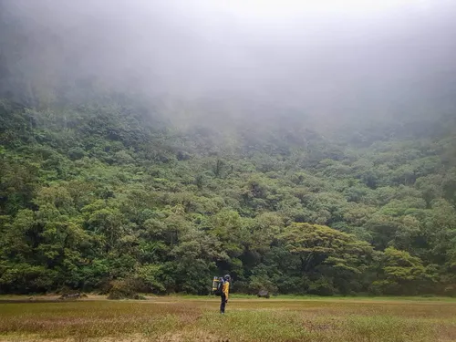 Best Hikes and Trails in Northern Negros Natural Park | AllTrails