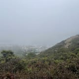 Gerbode Valley Loop, California - 408 Reviews, Map | AllTrails