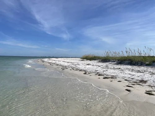 Best Hikes and Trails in Shell Key Preserve | AllTrails