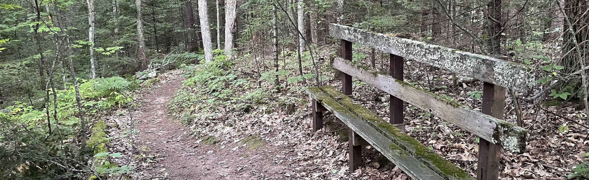 Forest Lodge Nature Trail, Wisconsin - 12 Reviews, Map | AllTrails