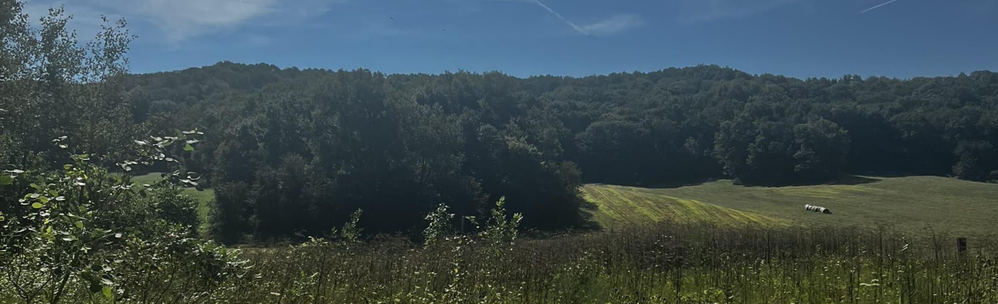 Natural Bridge and Whitetail Trail Loop | Map, Guide - Wisconsin ...