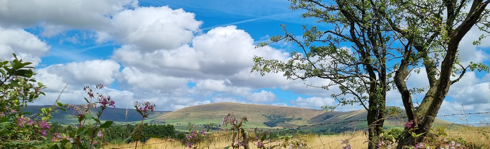 Beacon Fell to Bleasdale Circle: 9 Reviews, Map - Lancashire, England ...