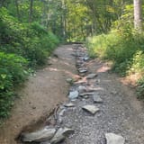 Humpback Mountain and Humpback Rocks via Appalachian and Albright Loop ...