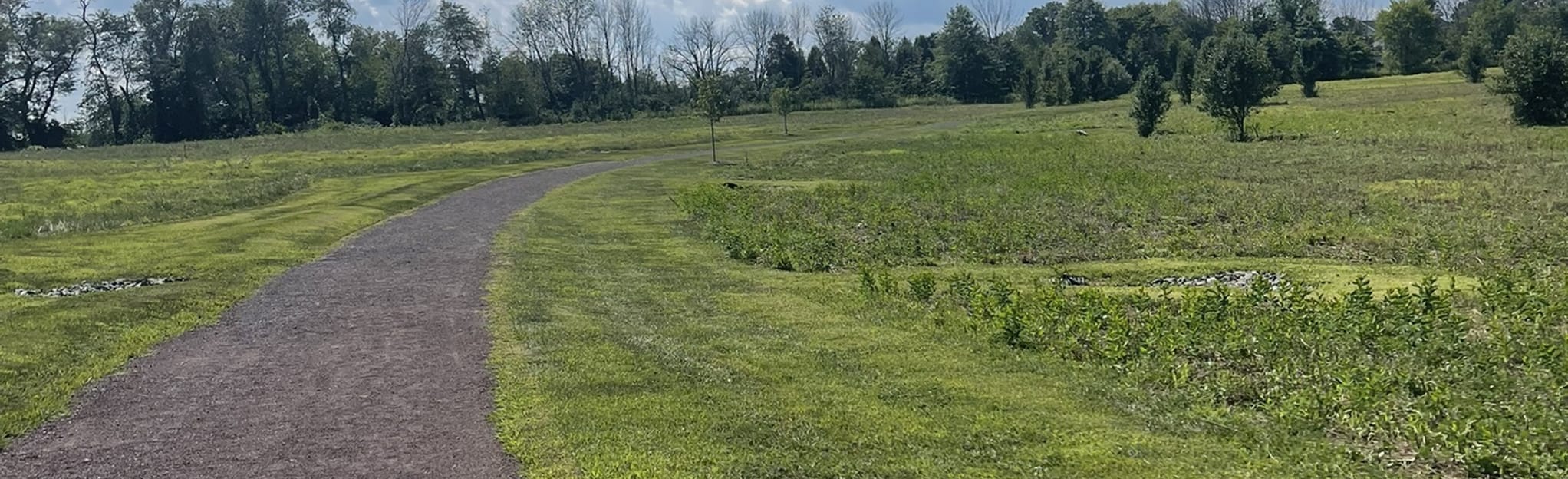 Kurylo Preserve Trail, Pennsylvania - 26 Reviews, Map | AllTrails