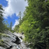 Hamilton Falls Trail, Vermont - 687 Reviews, Map | AllTrails
