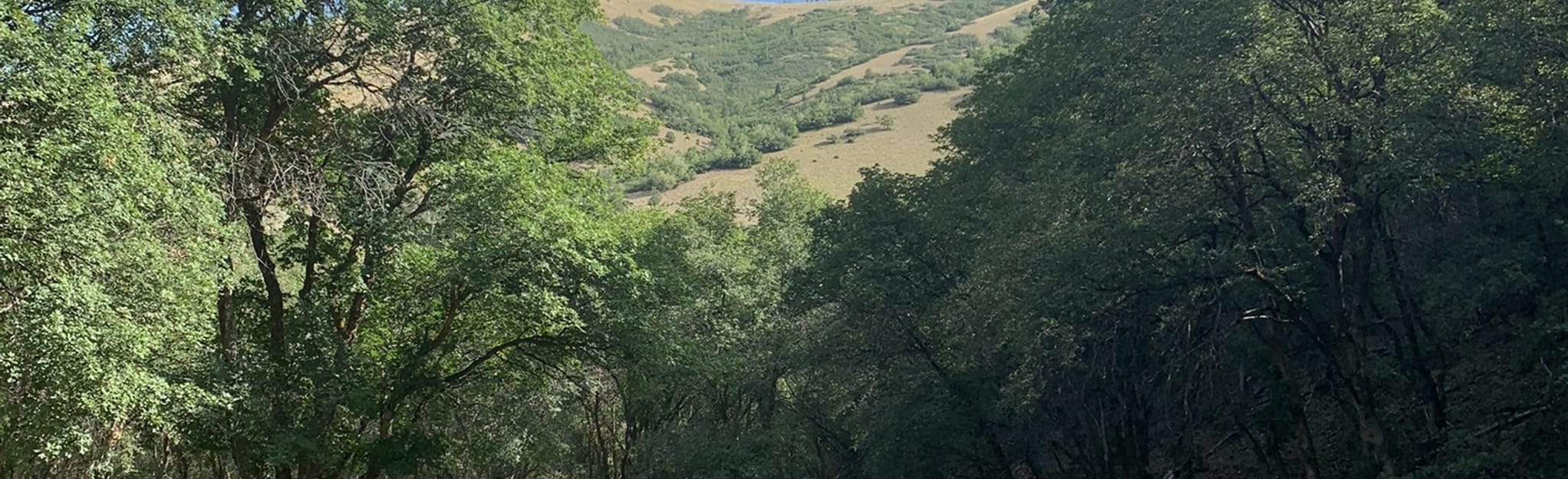 Upper Dark Trail: 49 foto - Utah | AllTrails