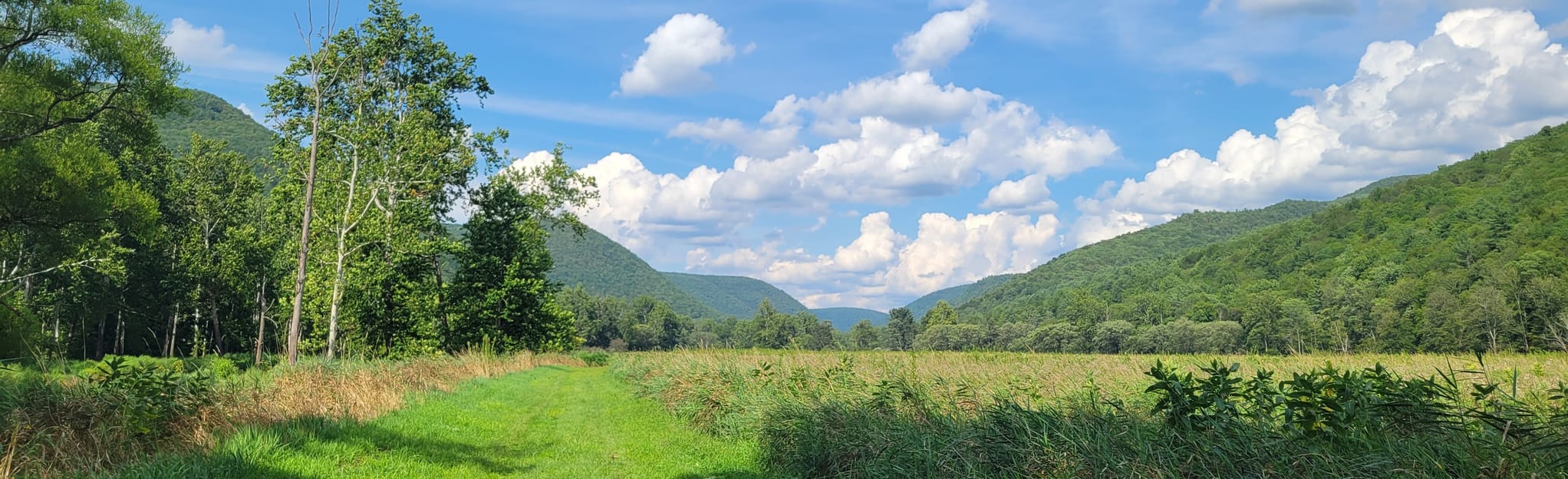 Little Pine Lake Trail , Pennsylvania - 107 Reviews, Map | AllTrails