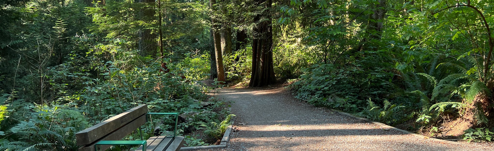 Hemlock Trail - S.W. Marine Trail - UBC Greenway - Council Trail: 46 ...