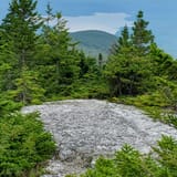 Little Jackson Mountain Trail, Maine - 282 Reviews, Map | AllTrails