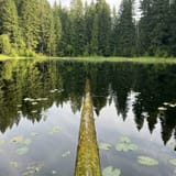 Separation Lake Trail #3536, Oregon - 18 Reviews, Map | AllTrails