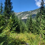 Eagle Lake, Washington - 46 Reviews, Map | AllTrails