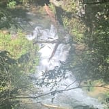 Greer Spring Trail, Missouri - 309 Reviews, Map | AllTrails