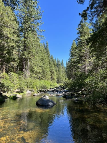 2023 Best 10 Easy Trails in Stanislaus National Forest | AllTrails