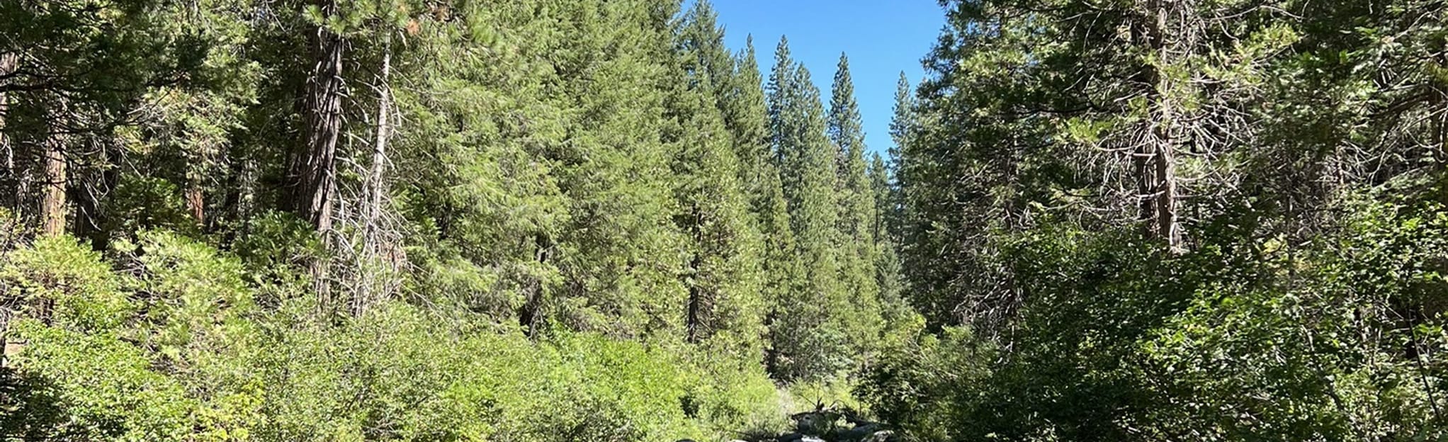 Sugar Pine Railway - Strawberry Branch, California - 493 Reviews, Map ...